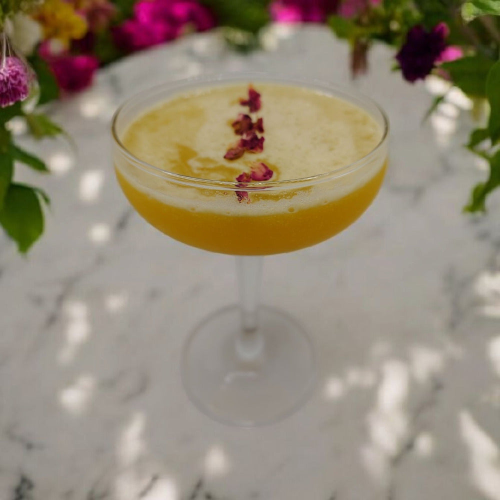 Jardin Royale – Rosetta Roasting